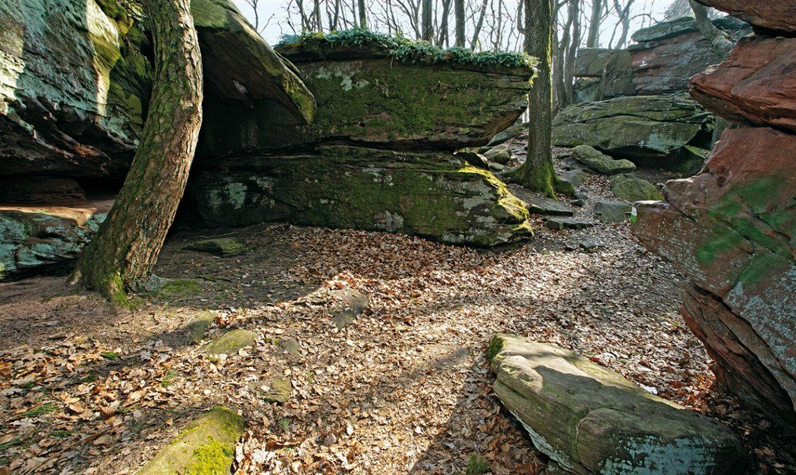 Rundwanderung im Pfälzerwald von St. Martin auf die Kalmit - FREEONTOUR